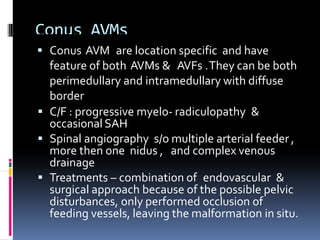 Spinal AVM AIIMS.pptx