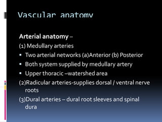 Spinal AVM AIIMS.pptx