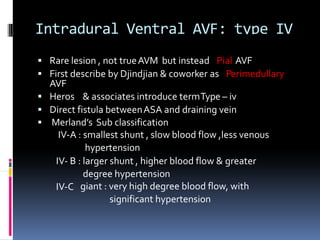 Spinal AVM AIIMS.pptx