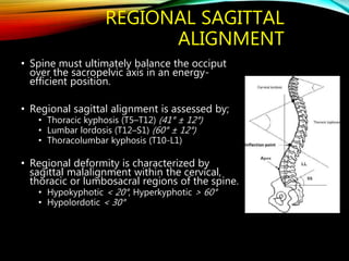 Spinal balance | PPTX