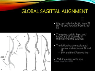 Spinal balance ras | PPTX