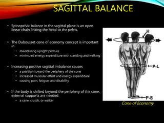 Spinal balance ras | PPTX
