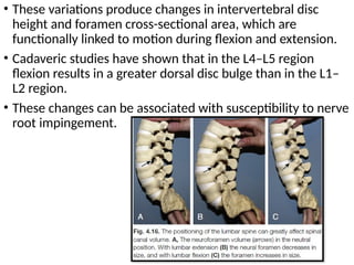 Spinal biomechanics and Fusion basics.pptx