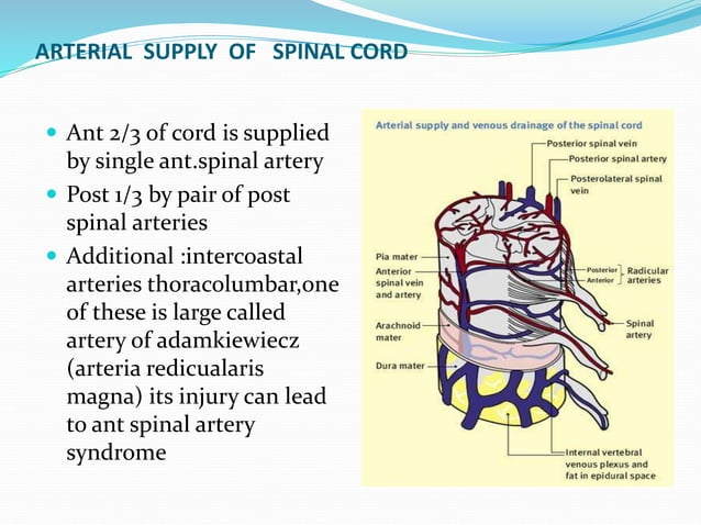 Spinal block