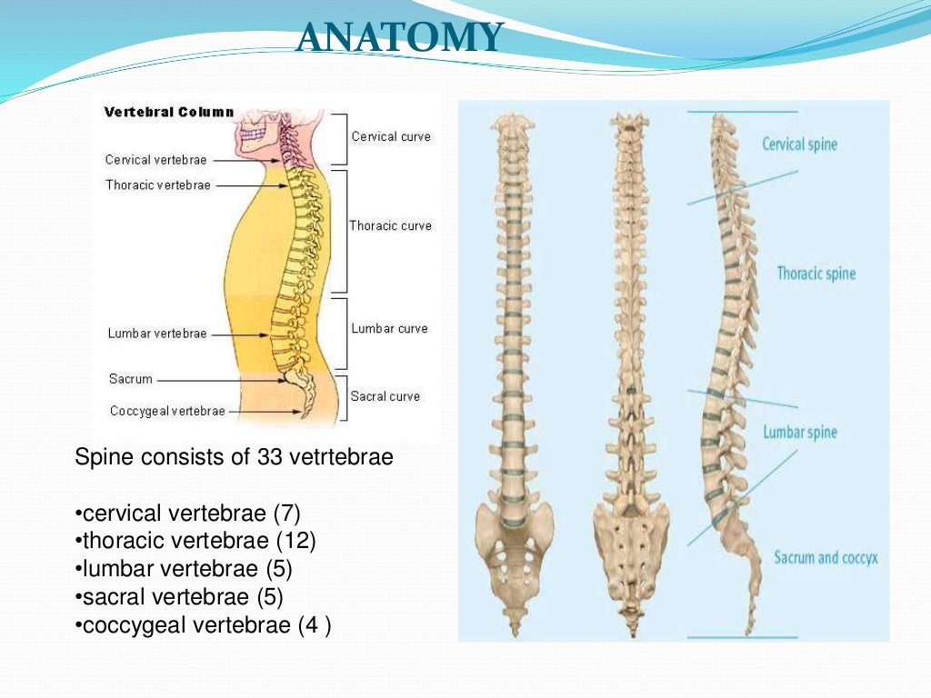Spinal block