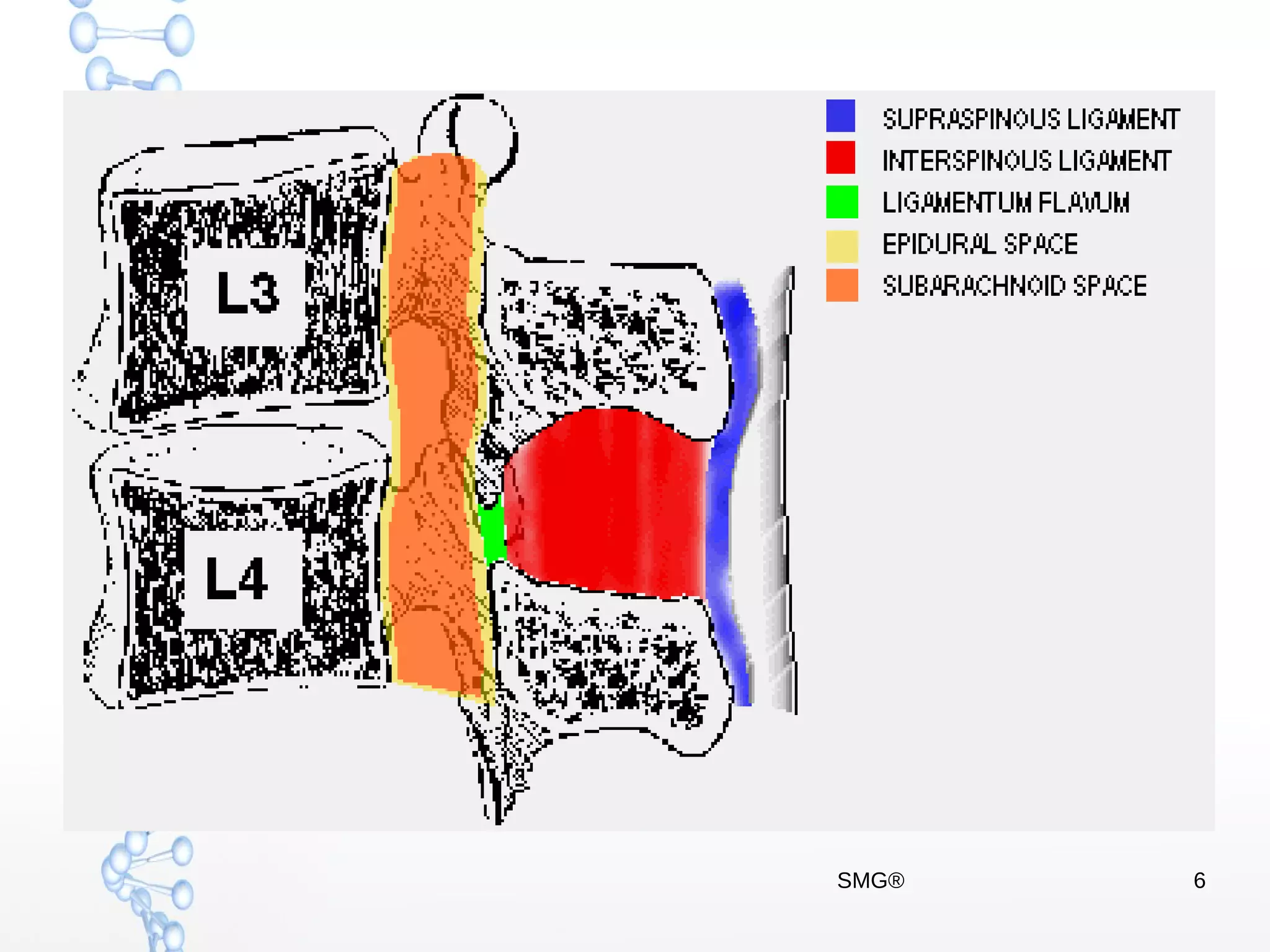 Central Neuroxial blockage ( Spinal and Epidural block ) By Dr Sachin ...