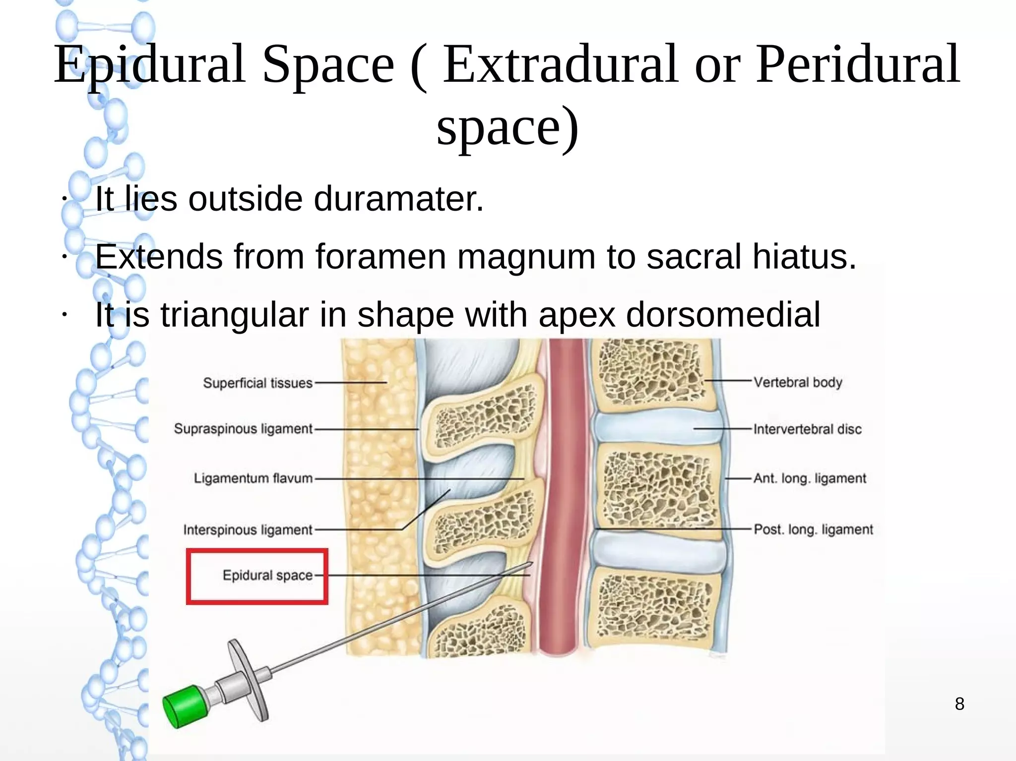 Central Neuroxial blockage ( Spinal and Epidural block ) By Dr Sachin ...