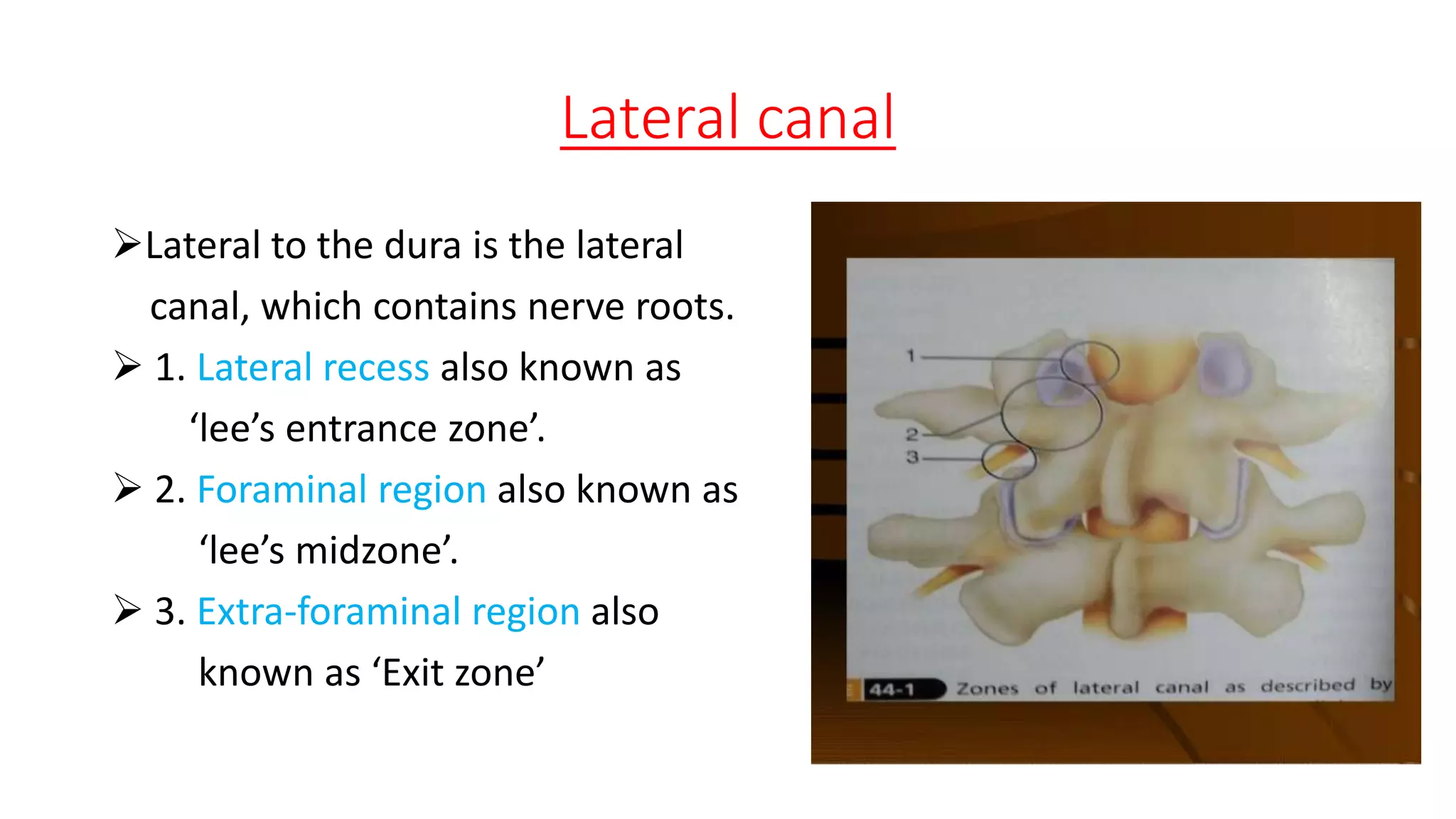 Spinal canal stenosis | PPTX