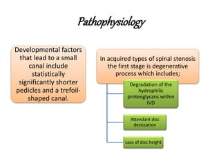spinal canal stenosis.pptx definition, classification, pathophysiology ...
