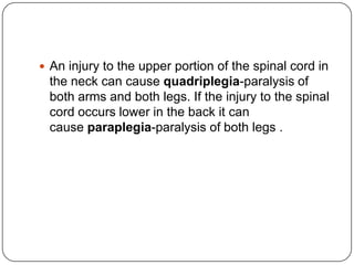 Spinal coard injury | PPTX