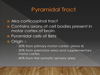 Spinal cord by Shaweta khosa | PPT