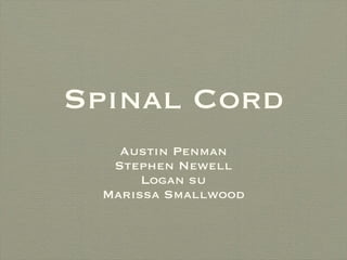 Spinal Cord | PPT