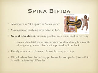 Spinal Cord | PPT