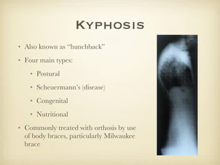 Spinal Cord | PPT