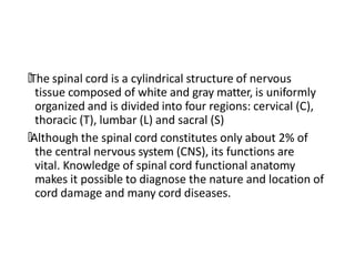 spinalcord-160607180314.pptx
