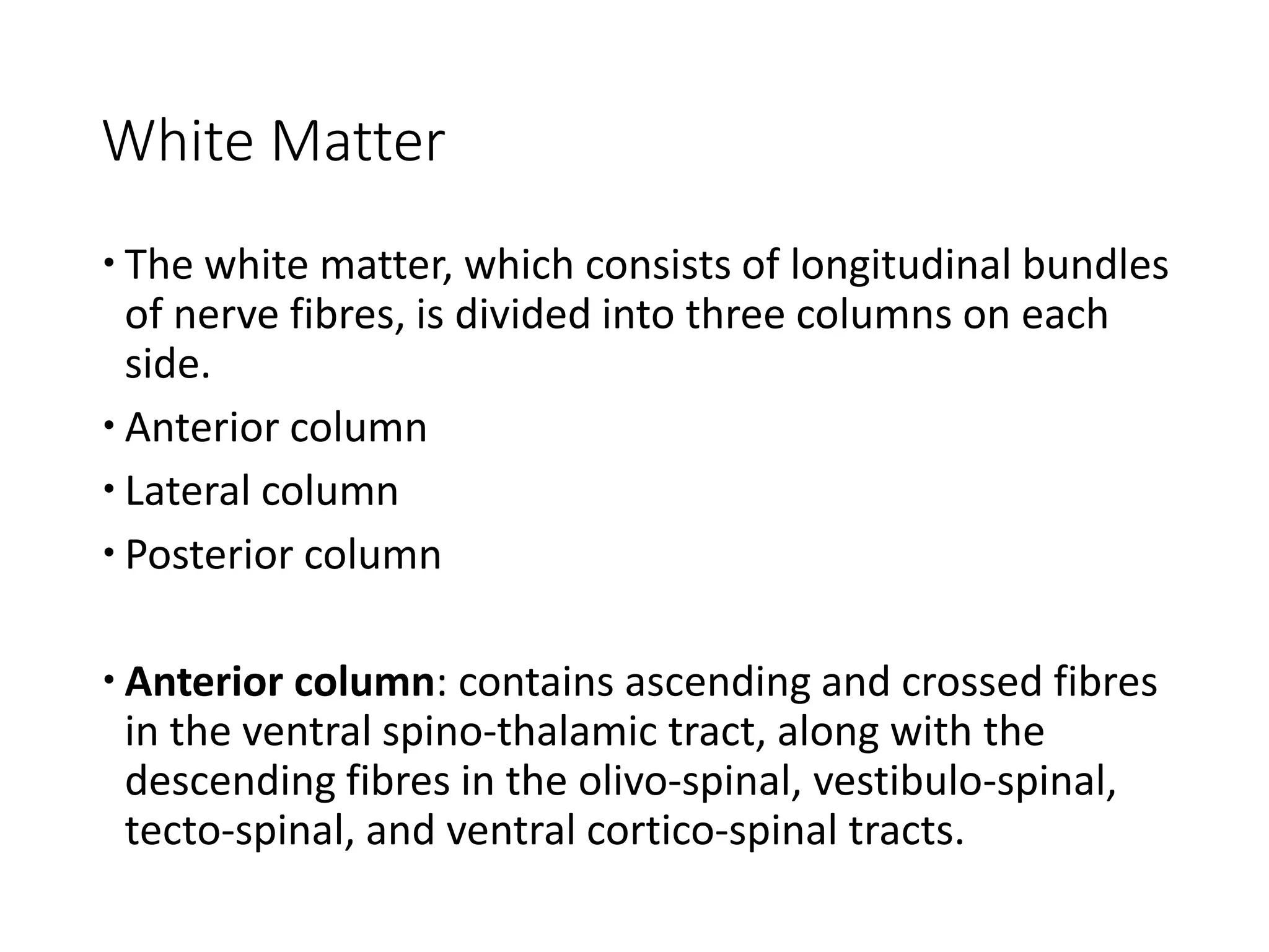 Spinal cord | PPTX
