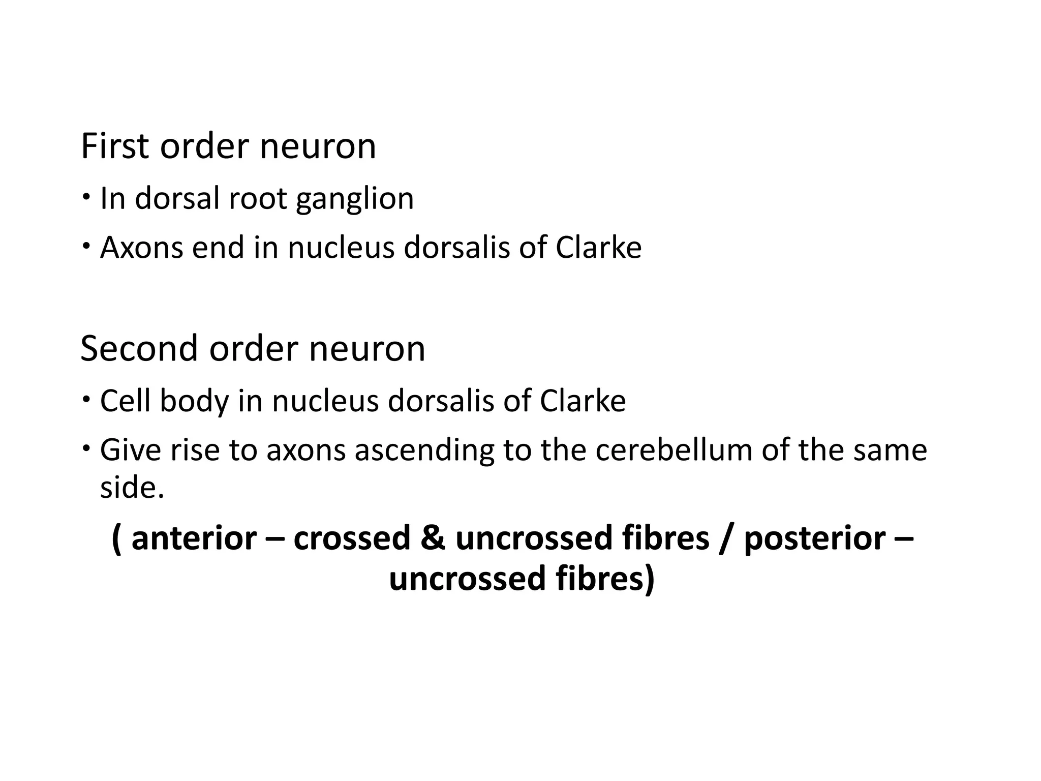 Spinal cord | PPTX