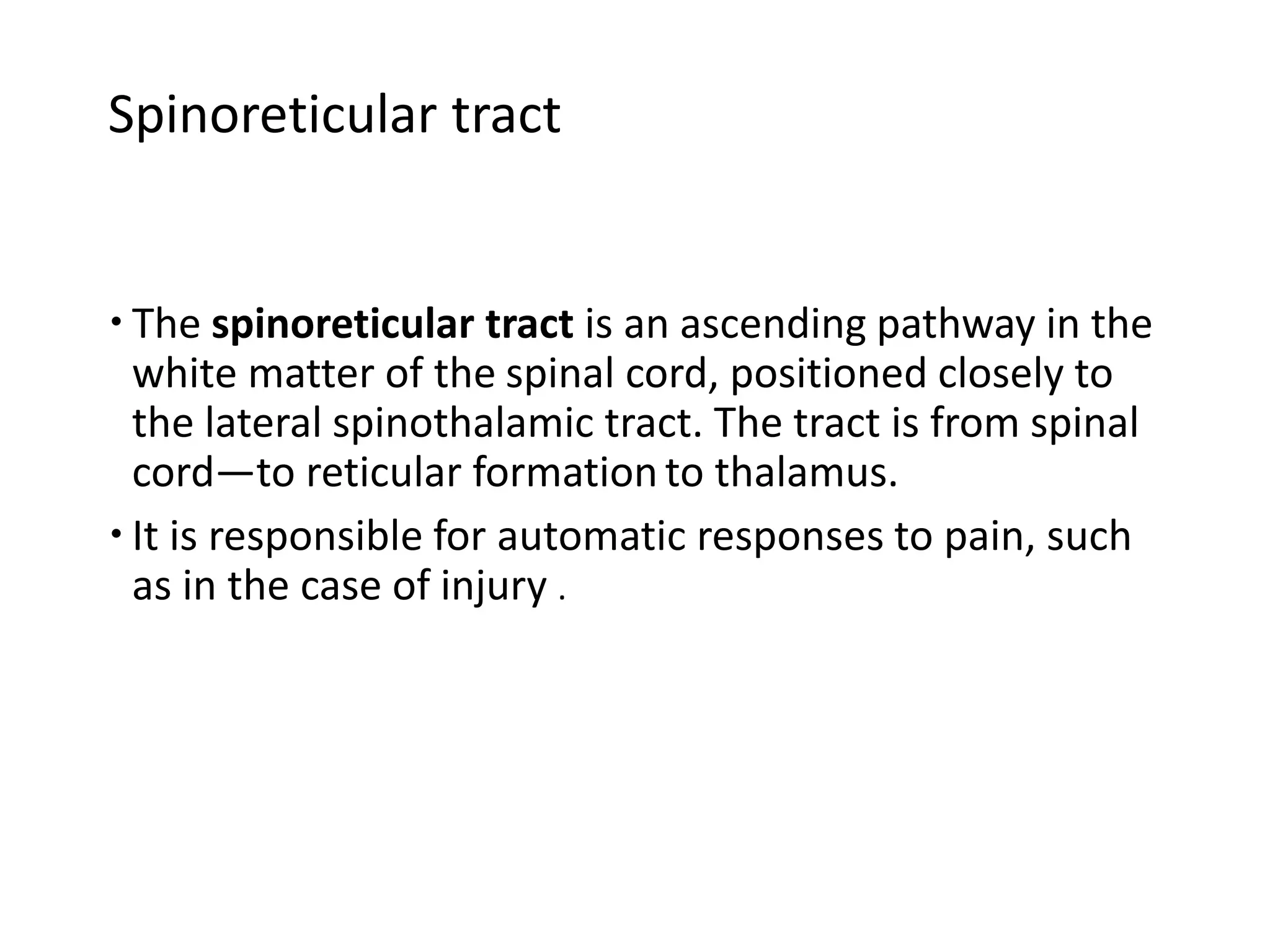Spinal cord | PPTX