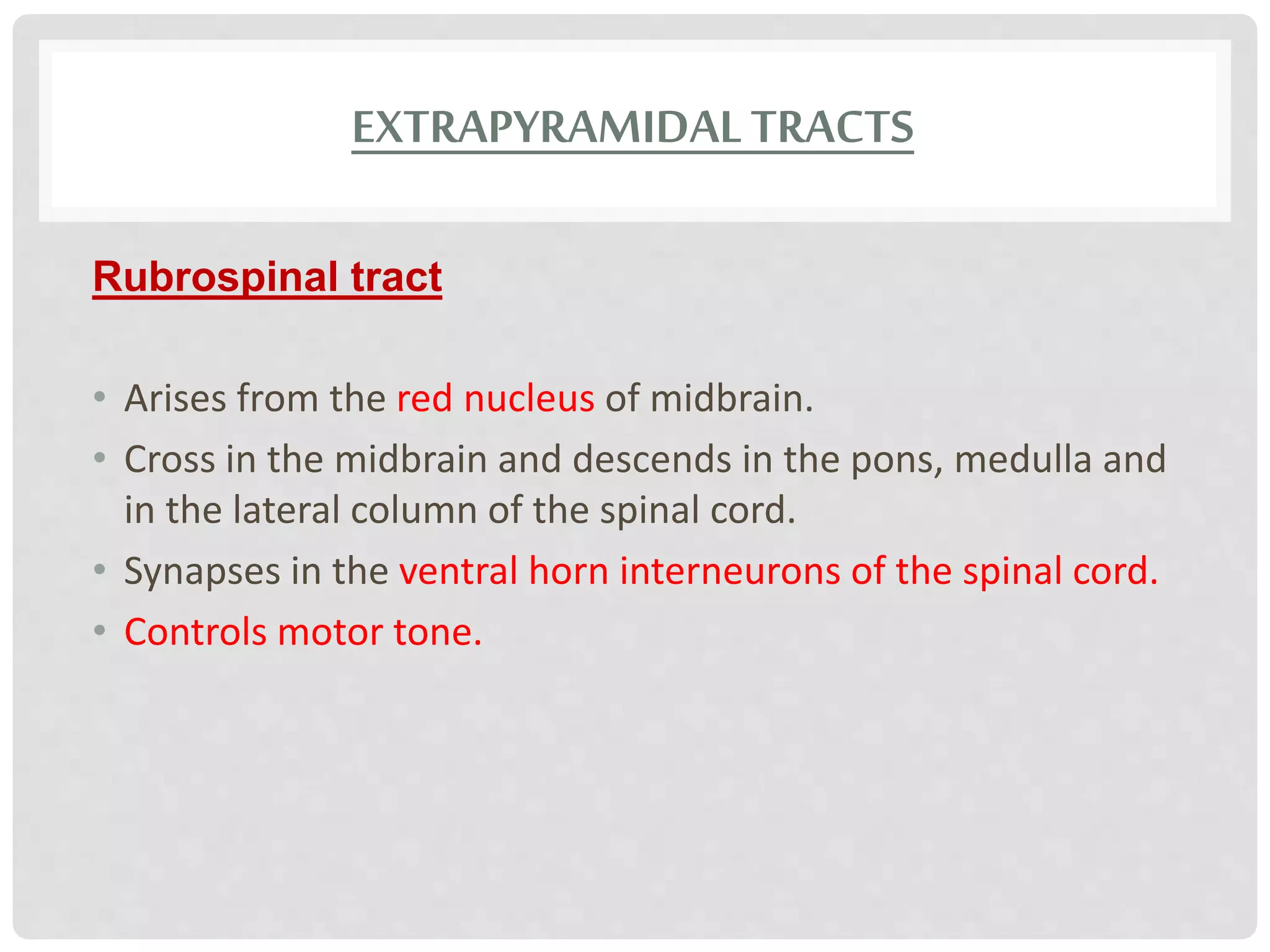Spinal cord | PPTX