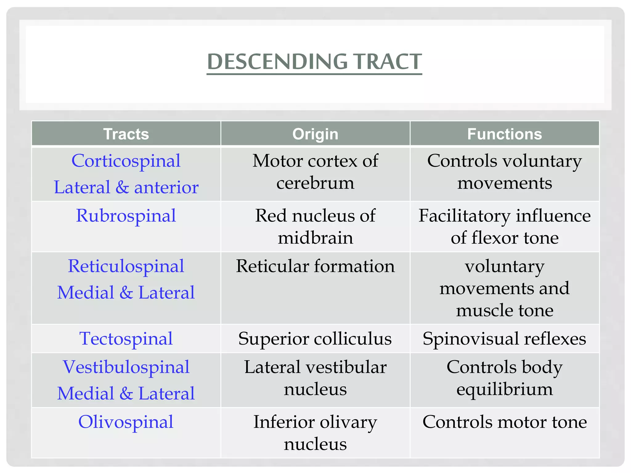 Spinal cord | PPTX