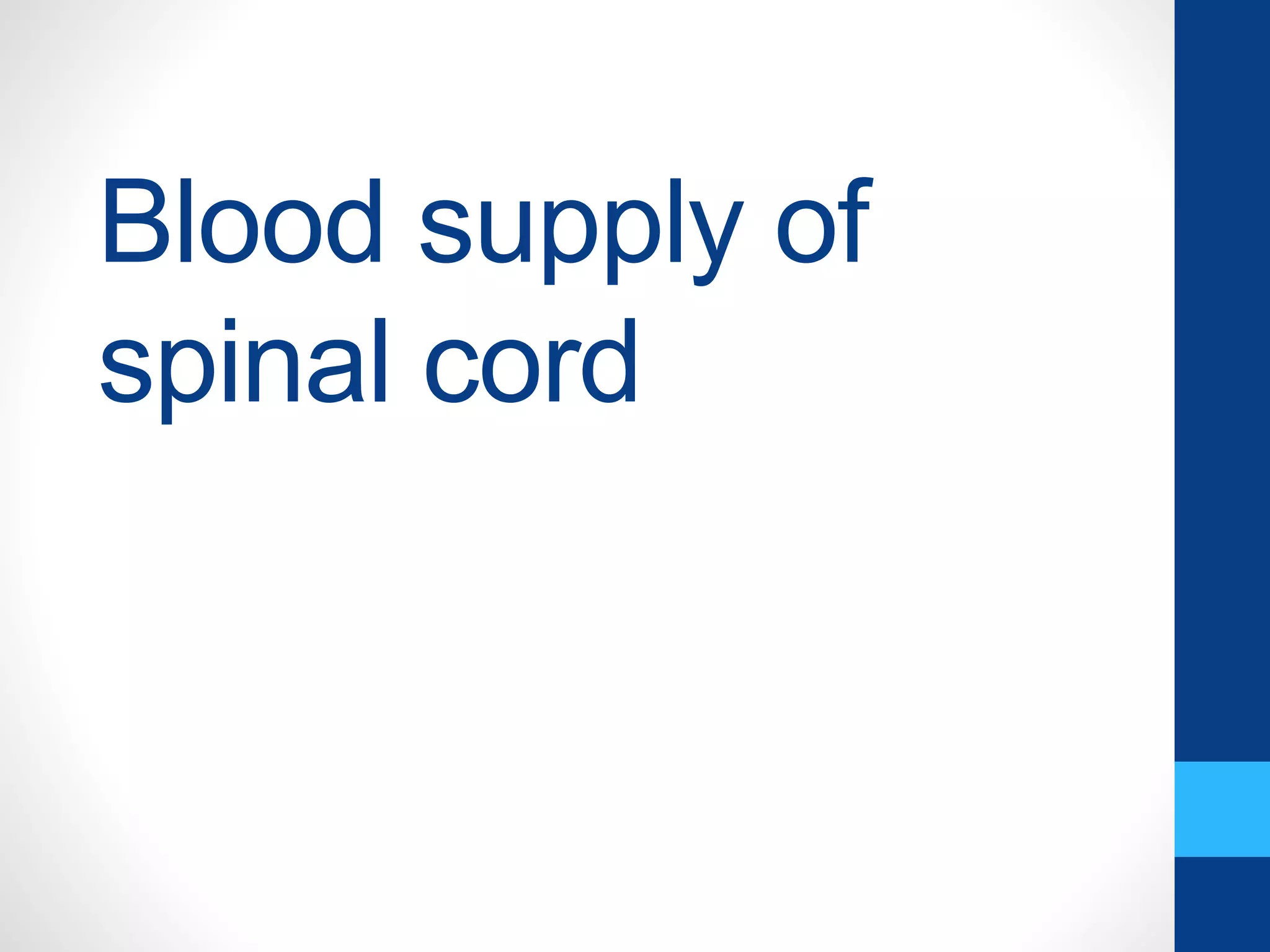 Spinal cord-Blood supply | PPTX