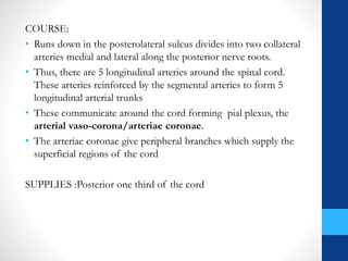 Spinal cord-Blood supply | PPTX
