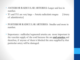 Spinal cord-Blood supply | PPTX