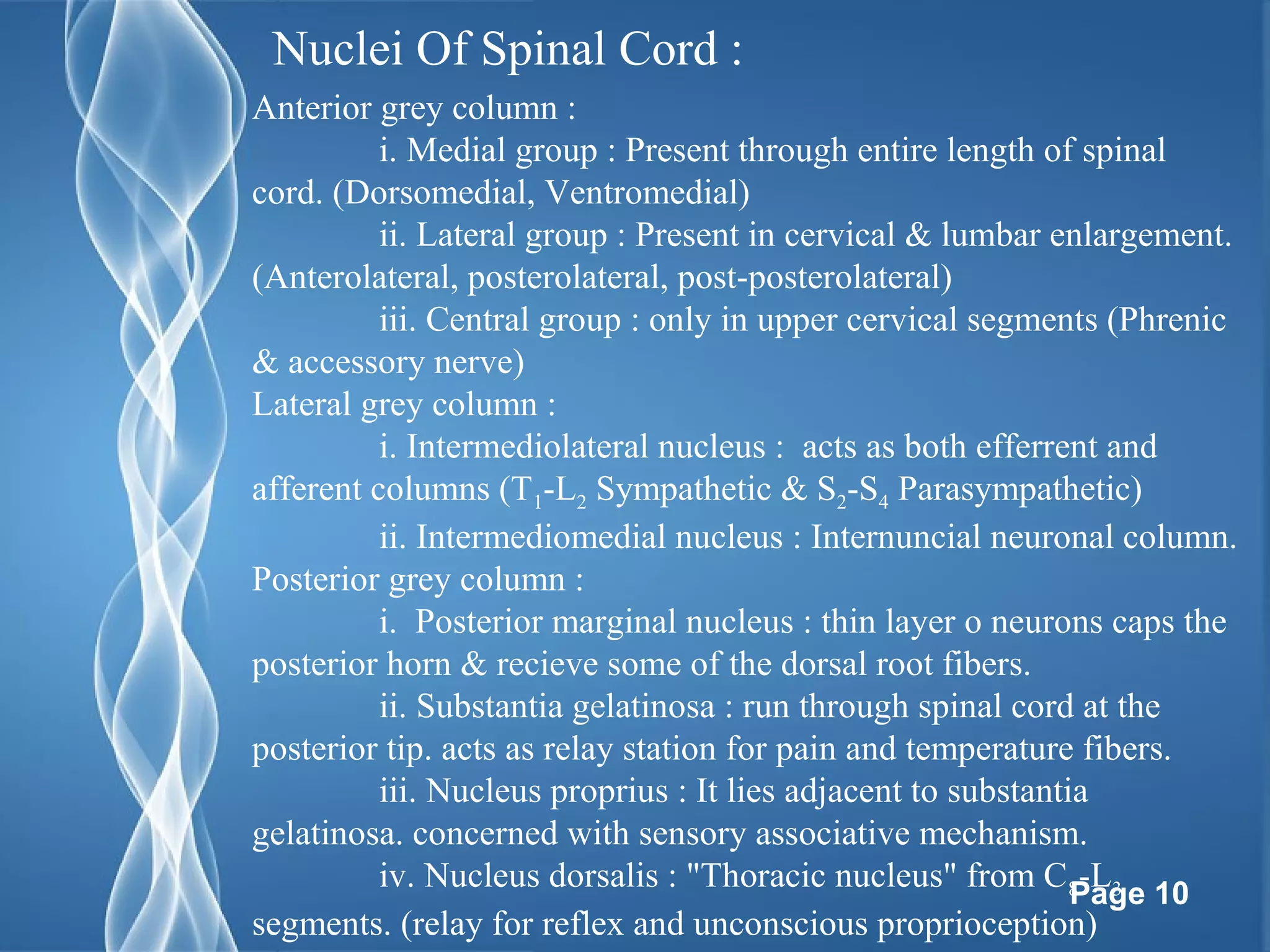 Spinal cord | PPT