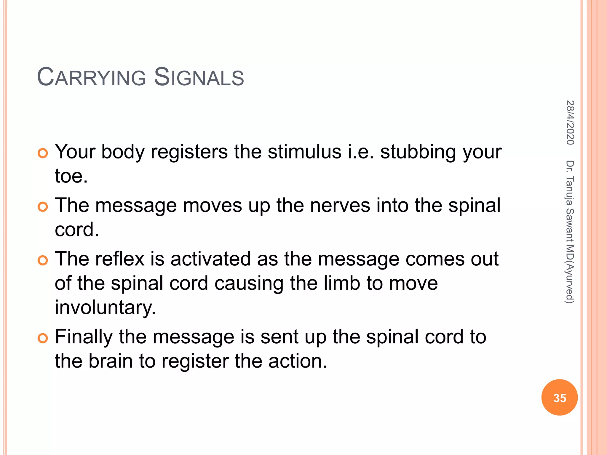 Spinal cord | PPTX