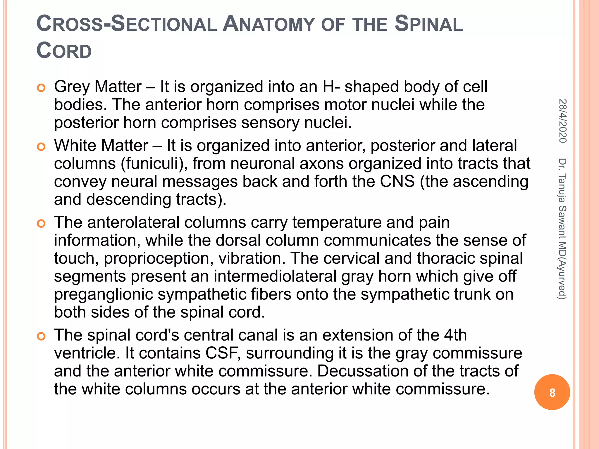 Spinal cord | PPTX