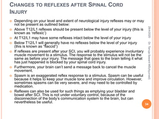 Spinal cord | PPTX