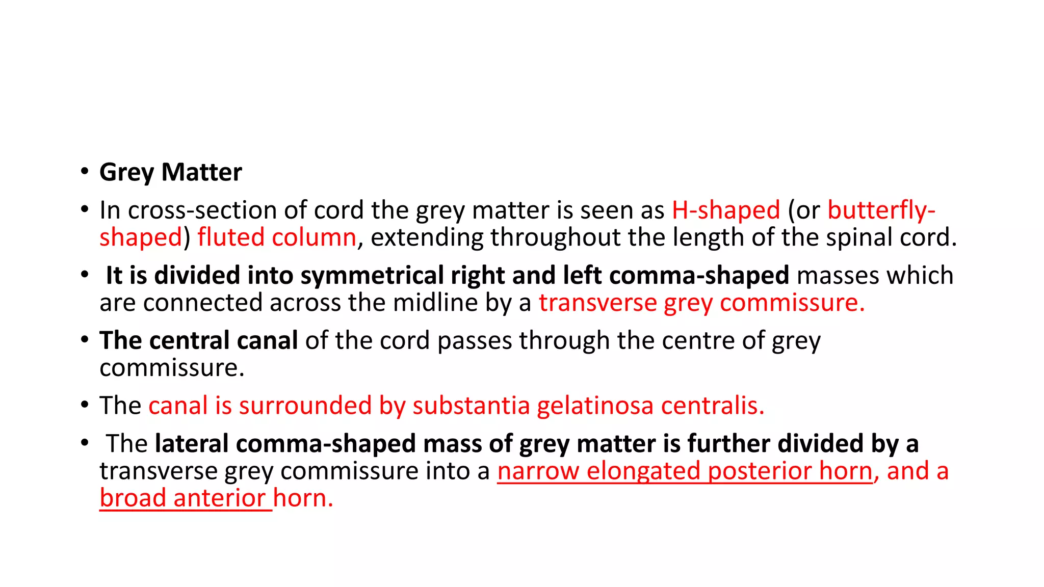 Spinal cord | PPTX