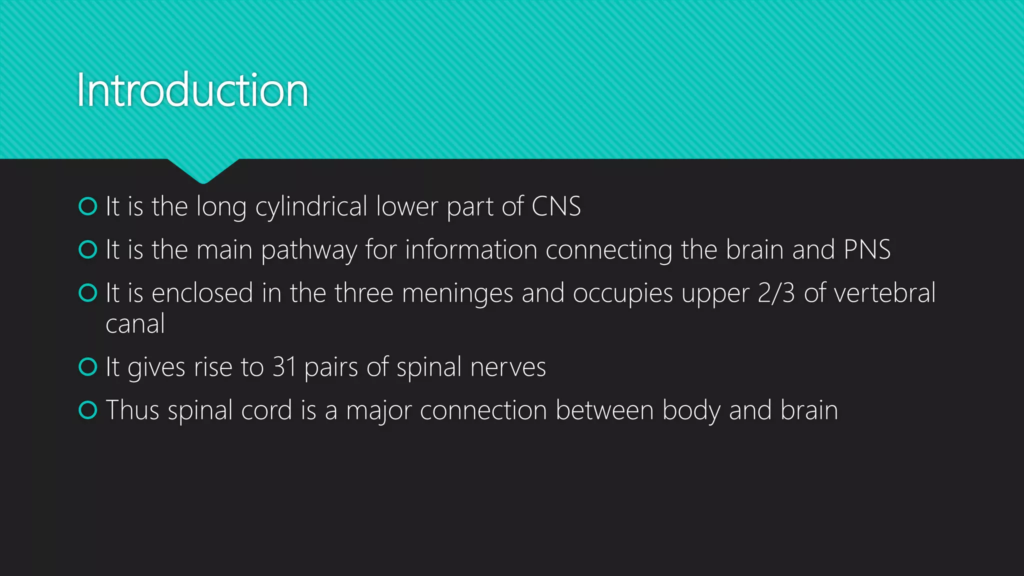 Spinal cord | PPT
