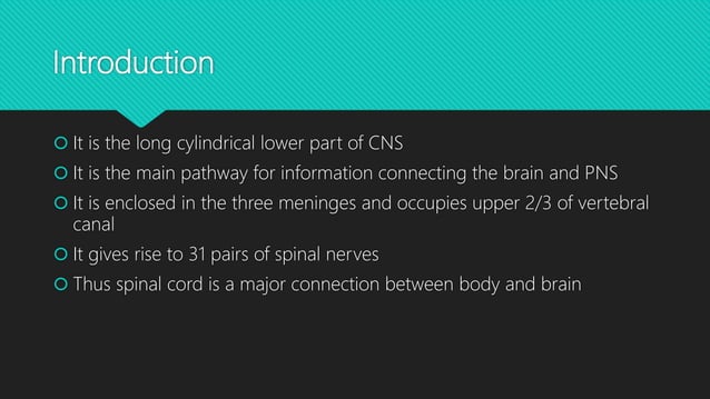 Spinal cord | PPT