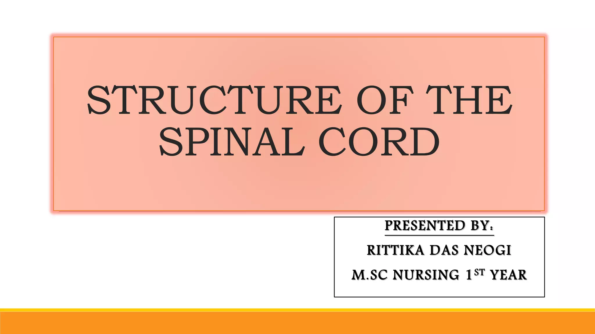 Spinal Cord | PPT