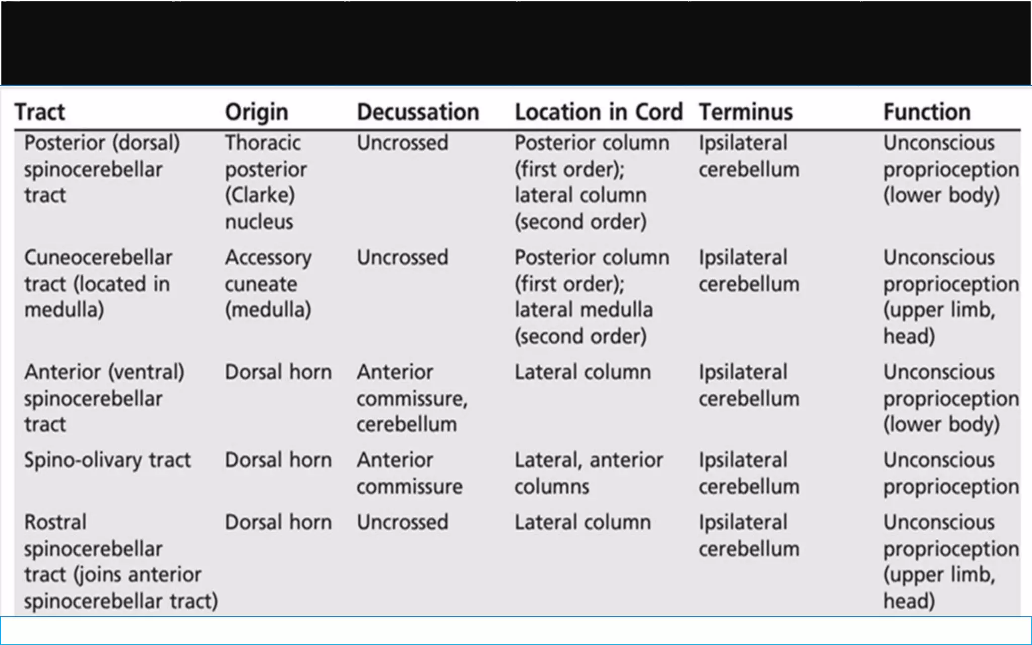 SPINAL CORD.pptx