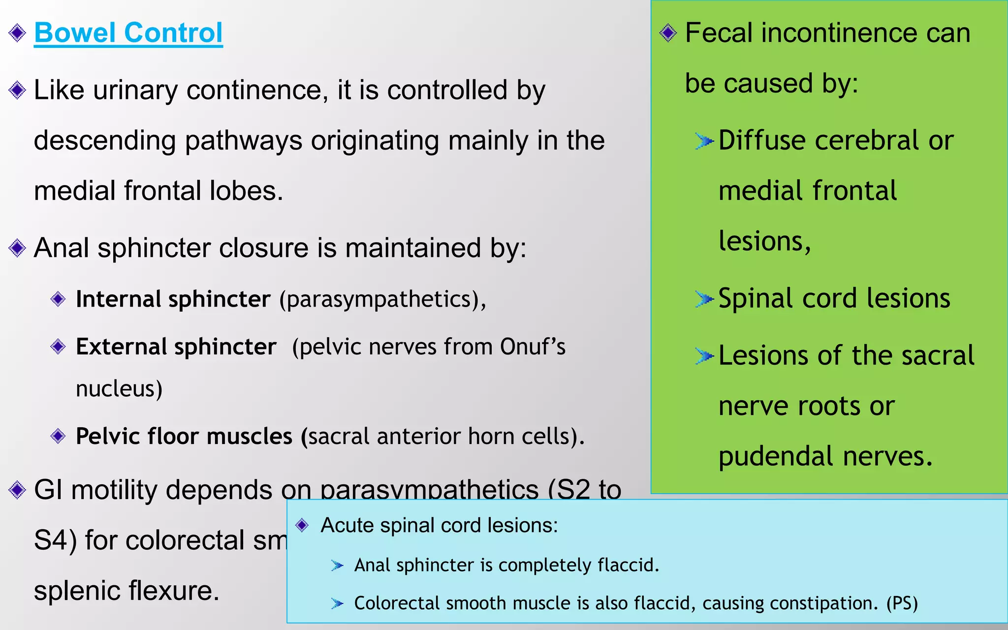 SPINAL CORD.pptx