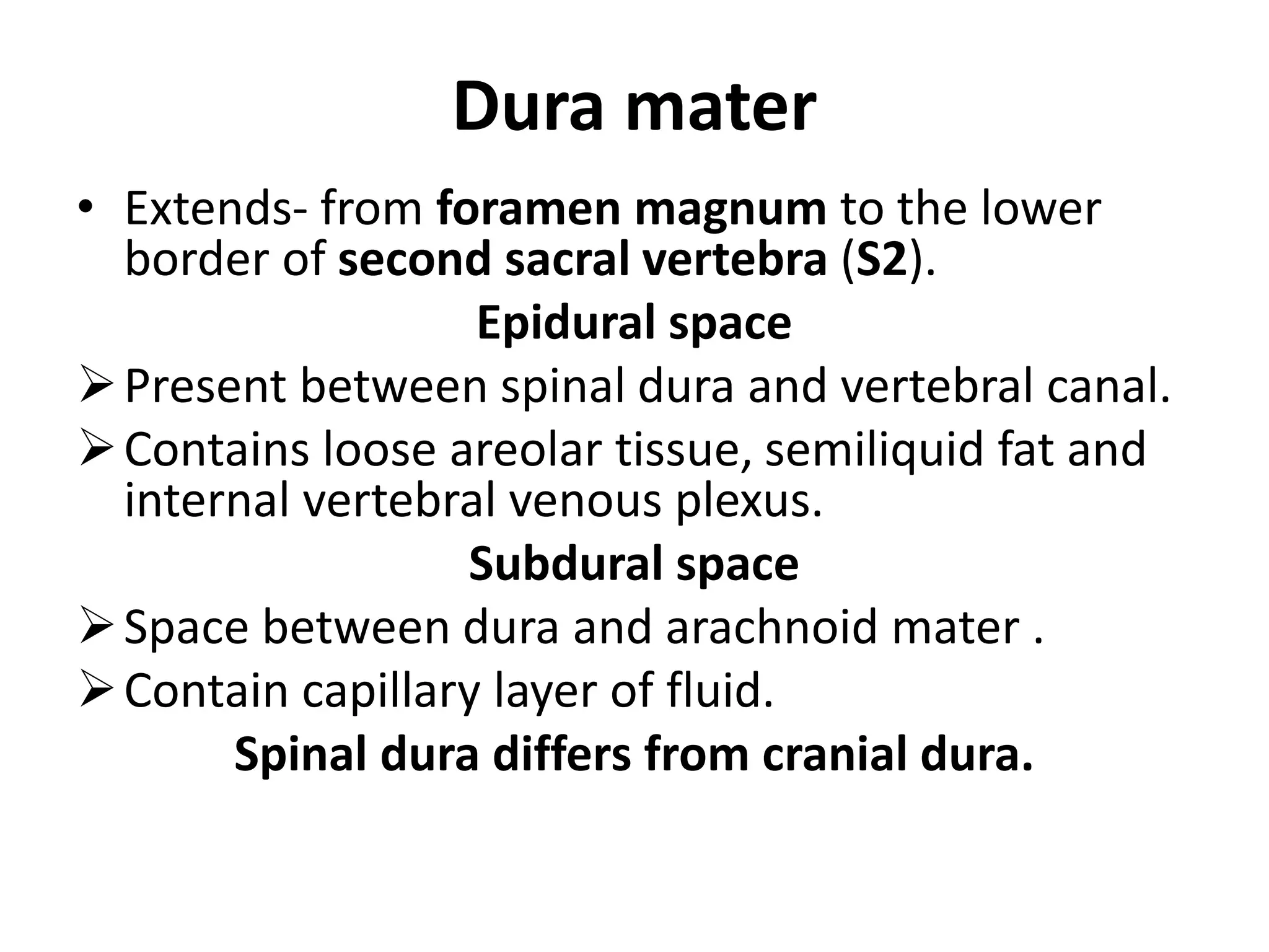 SPINAL CORD.1 .pptx