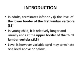 SPINAL CORD.1 .pptx