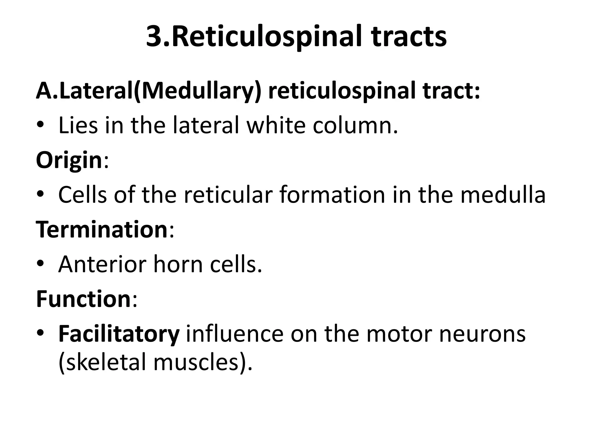 SPINAL CORD.2.pptx