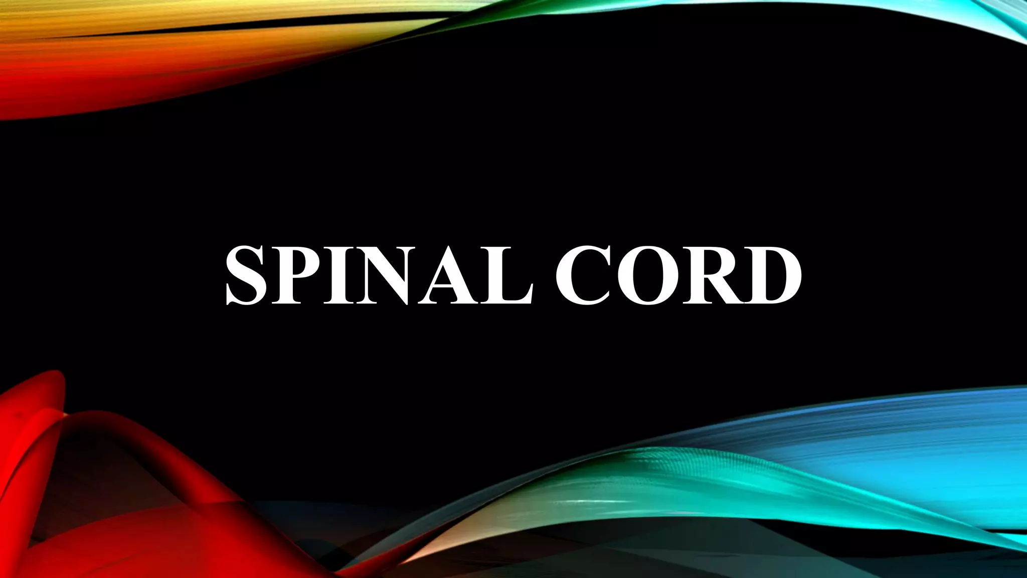 Spinal Cord.pptx
