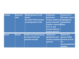 Spinal cord.pptx
