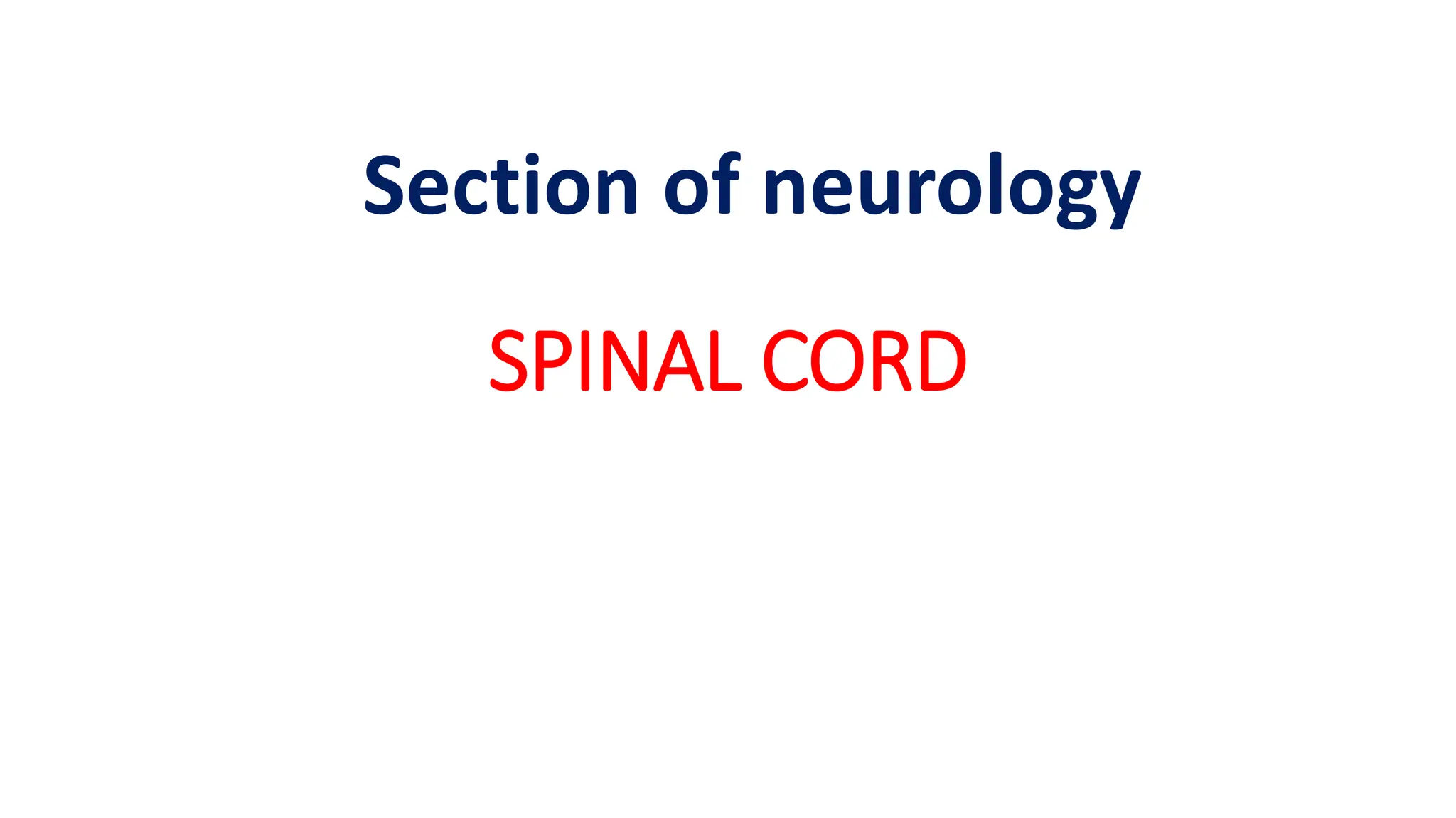 spinal cord anatomy in depth designed specially For medical students.pptx