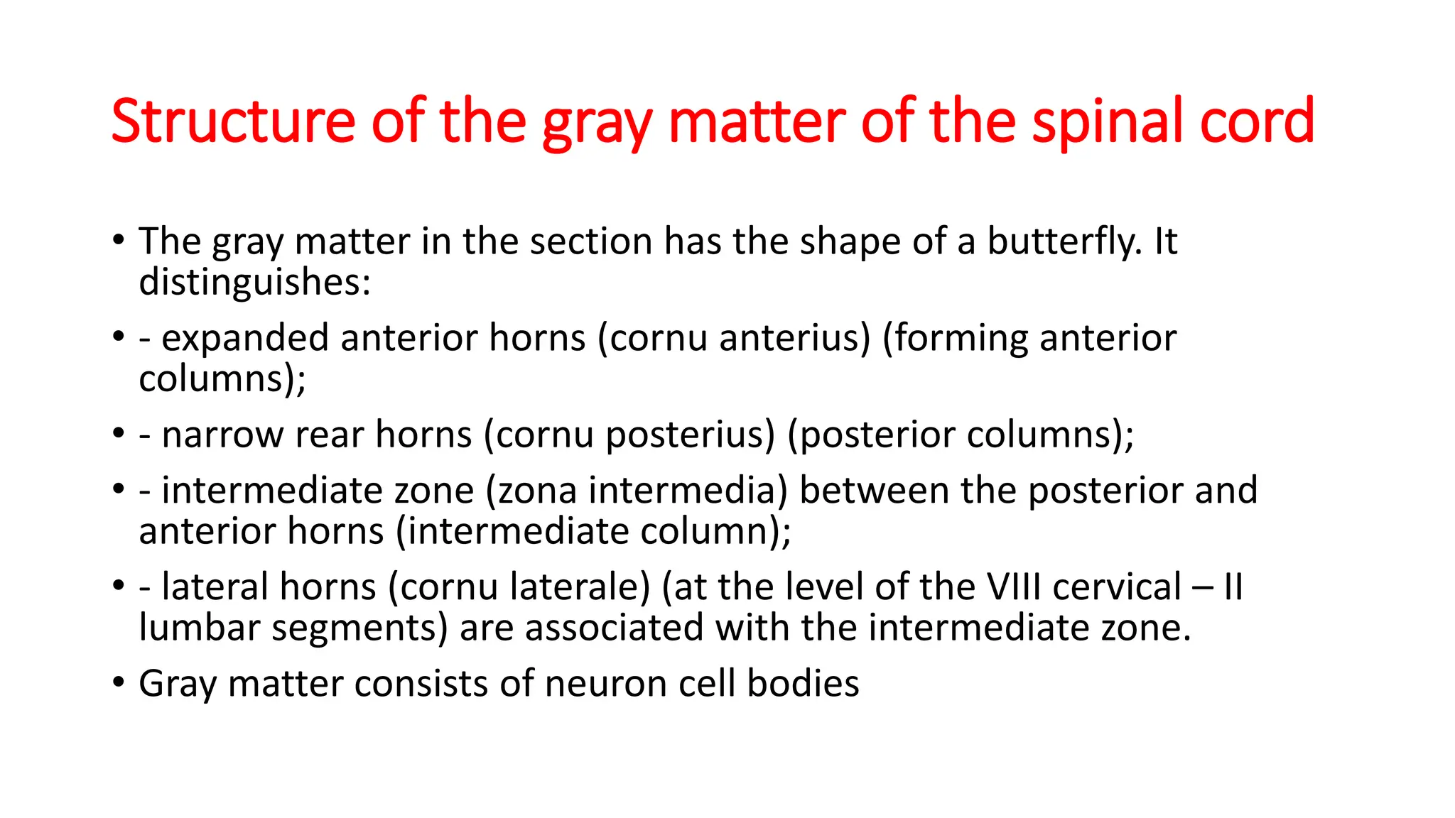 spinal cord anatomy in depth designed specially For medical students.pptx