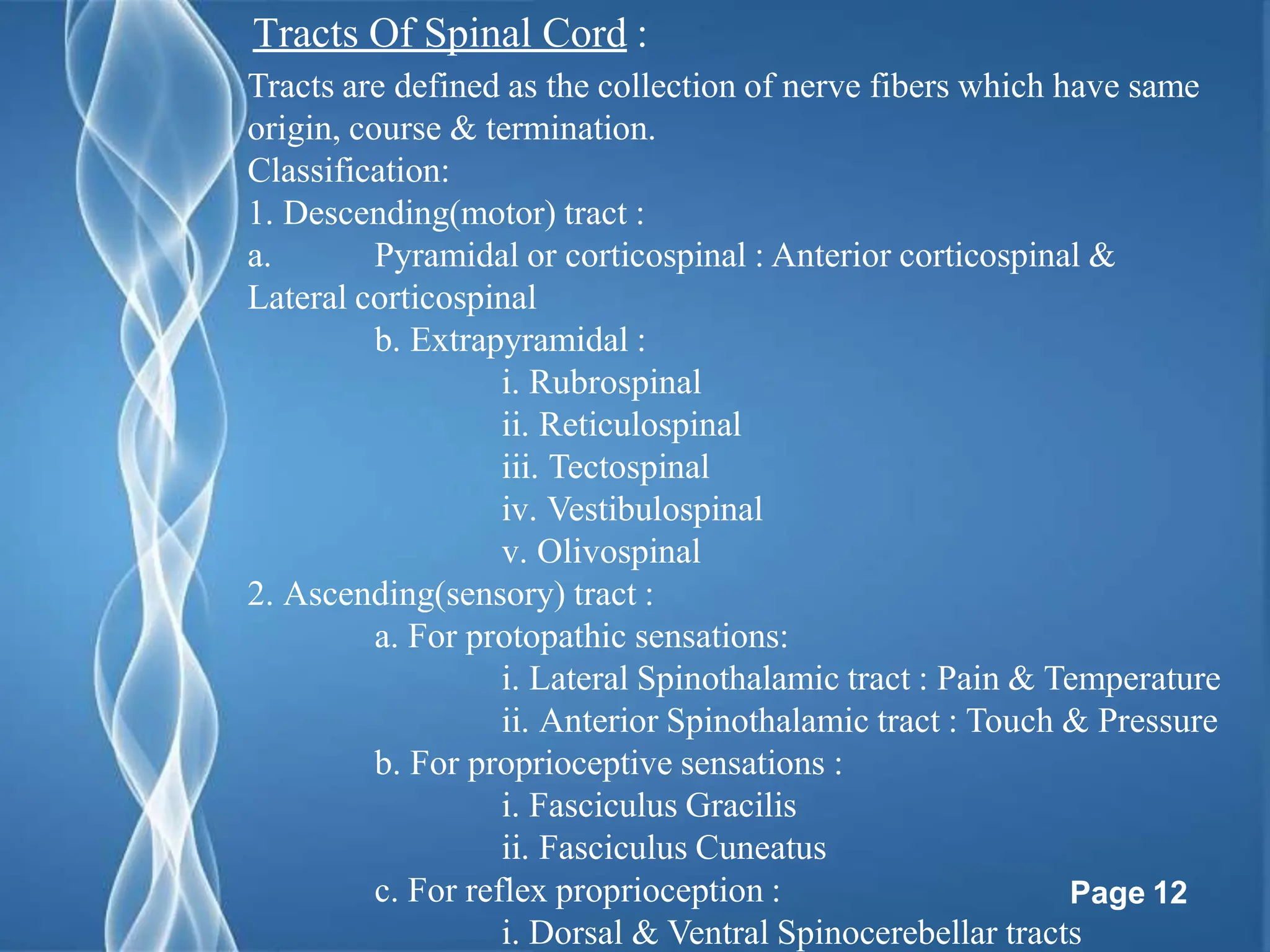 spinalcord, and anatomy of spinal cord , | PPTX