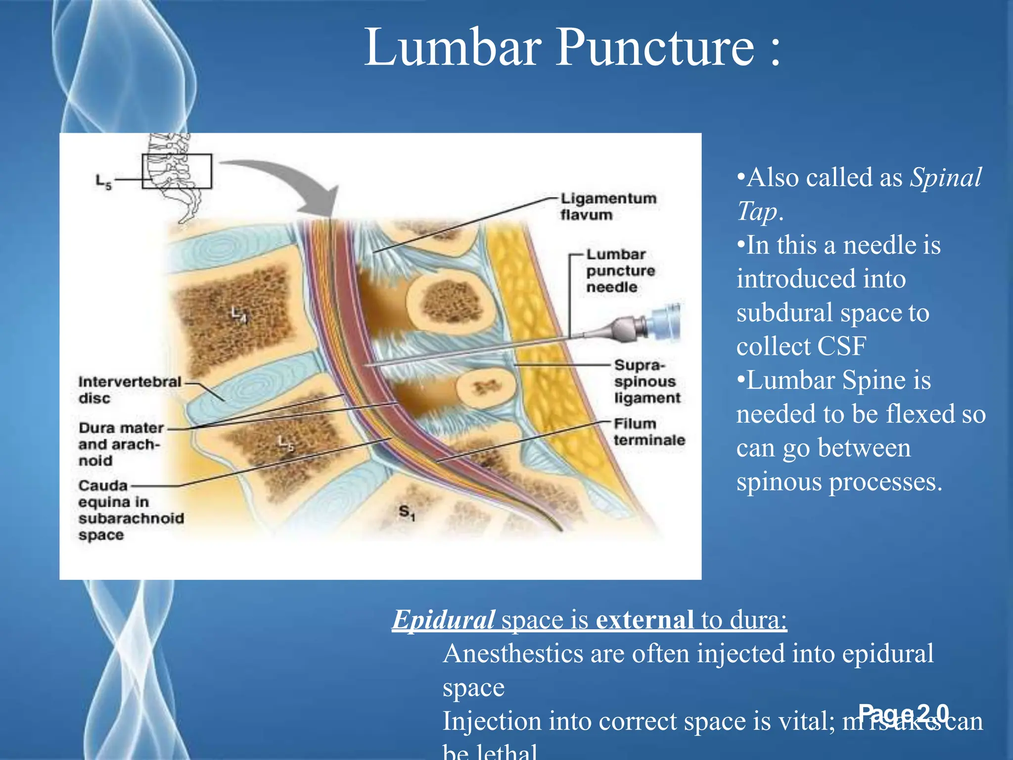 spinalcord, and anatomy of spinal cord , | PPTX