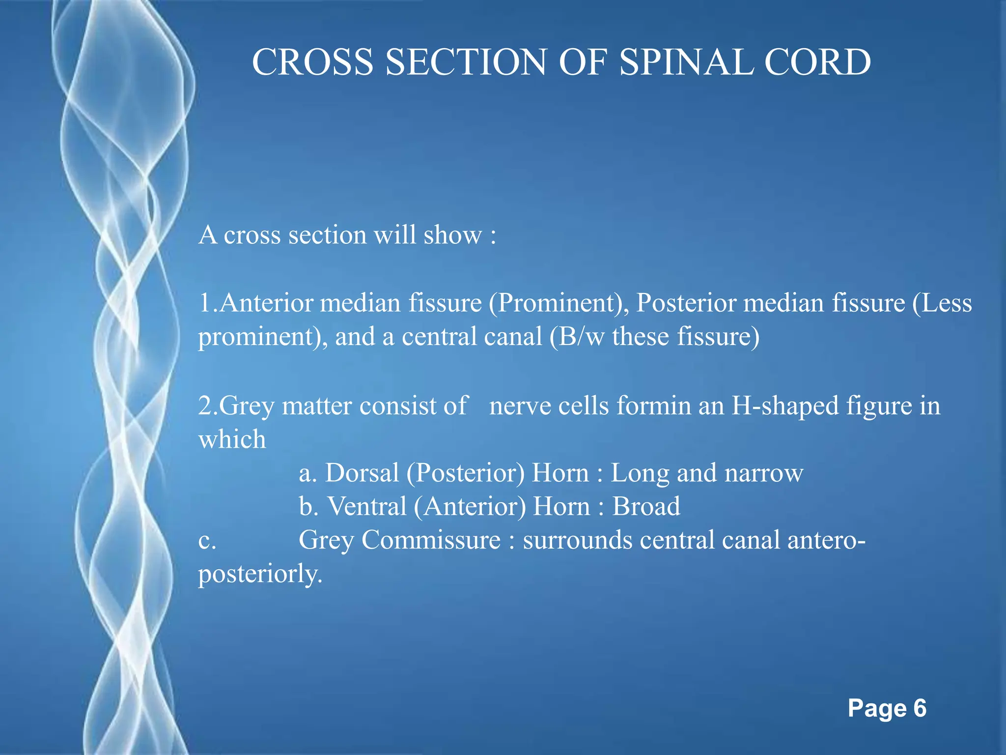 spinalcord, and anatomy of spinal cord , | PPTX