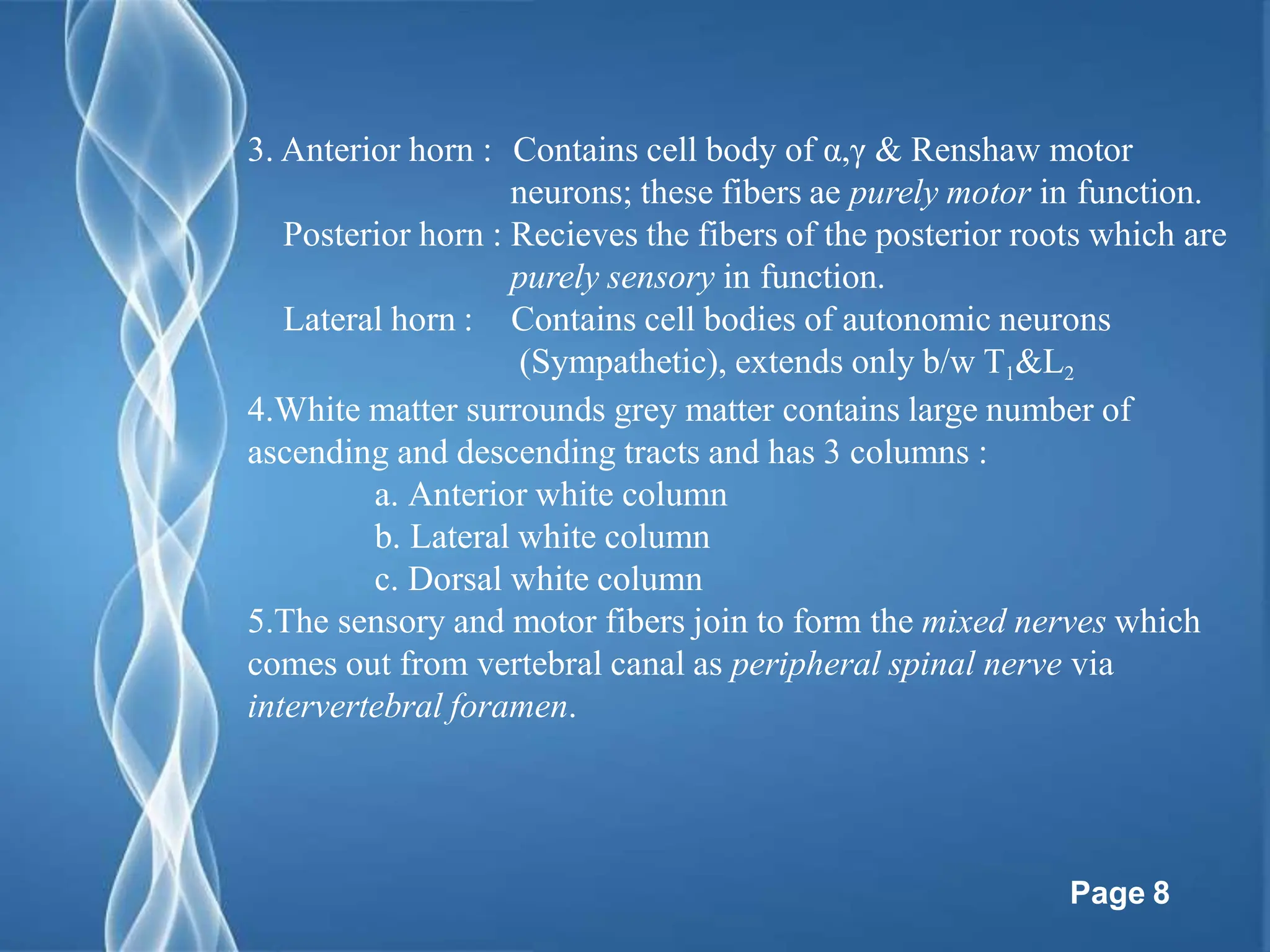 spinalcord, and anatomy of spinal cord , | PPTX
