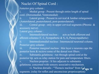 spinalcord, and anatomy of spinal cord , | PPTX