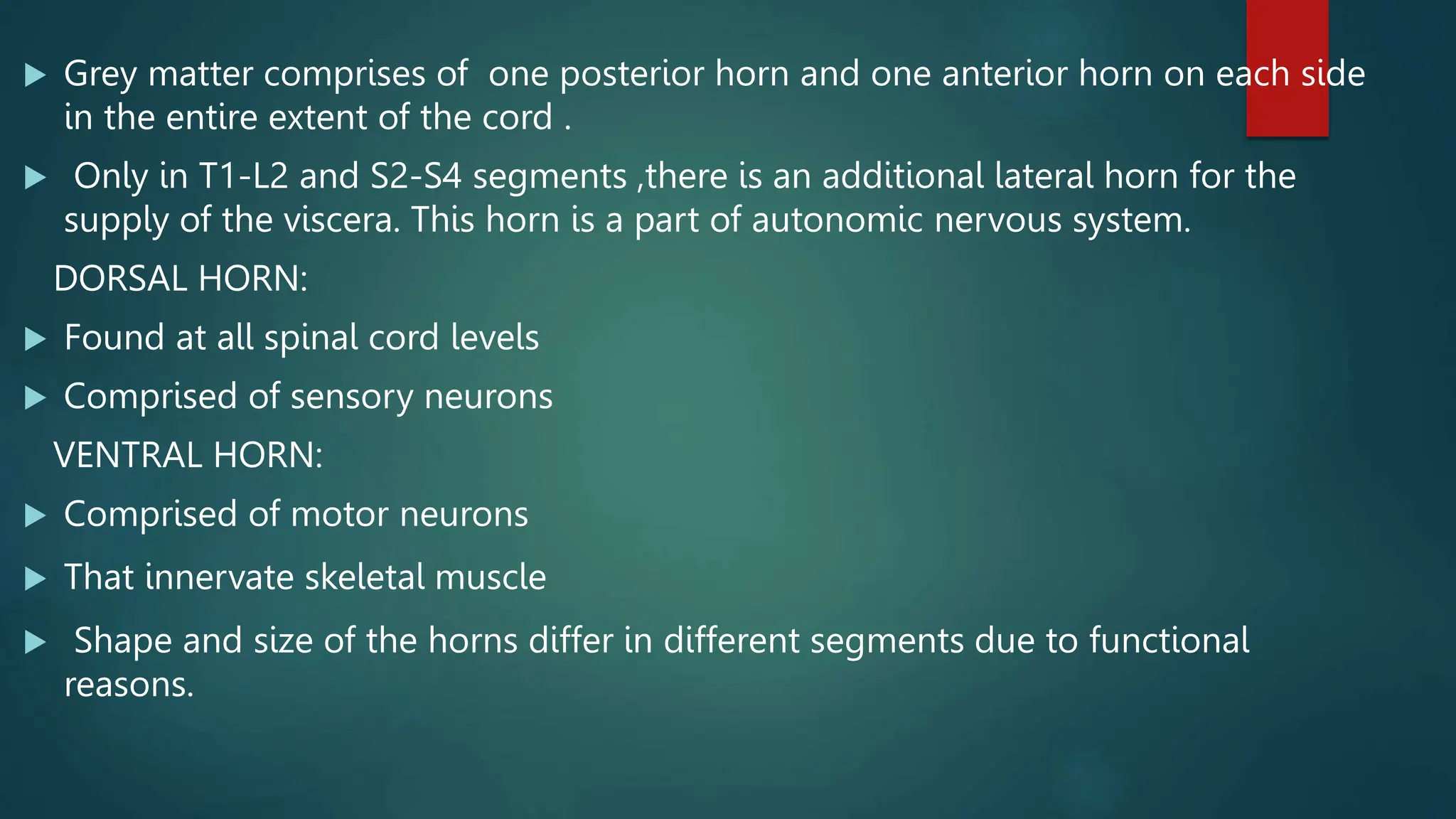Spinal cord Gross anatomy with Clinical Anatomy.pptx